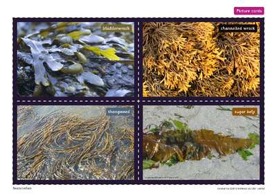 Log in to Maestro or Quick Teach | Cornerstones Education