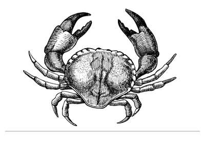 Log in to Maestro or Quick Teach | Cornerstones Education