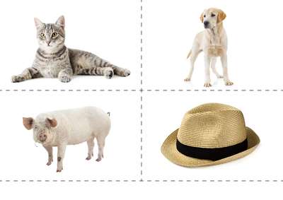 Log in to Maestro or Quick Teach | Cornerstones Education