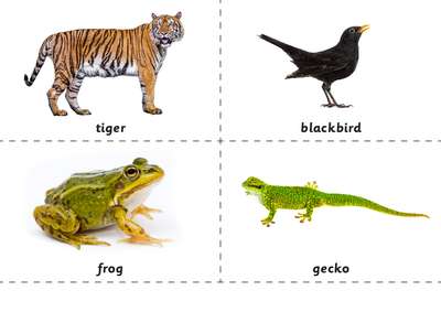 Log in to Maestro or Quick Teach | Cornerstones Education