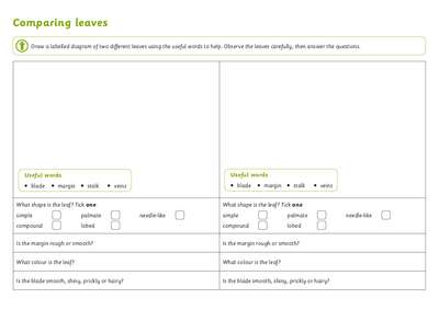 Log in to Maestro or Quick Teach | Cornerstones Education