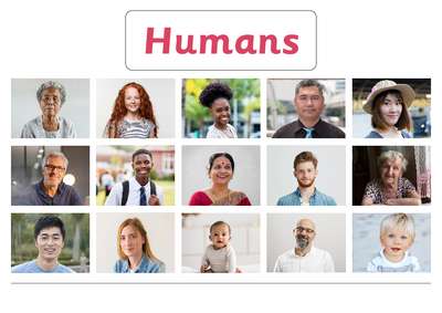 Log in to Maestro or Quick Teach | Cornerstones Education