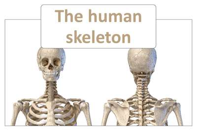 Log in to Maestro or Quick Teach | Cornerstones Education