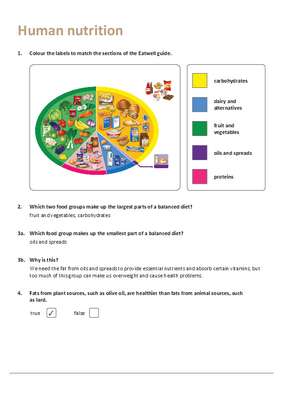 Log in to Maestro or Quick Teach | Cornerstones Education