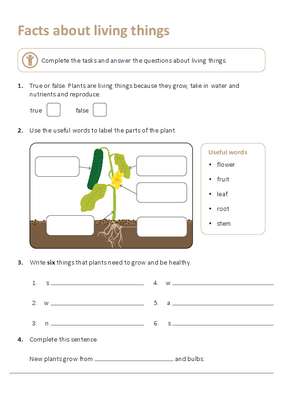Log in to Maestro or Quick Teach | Cornerstones Education