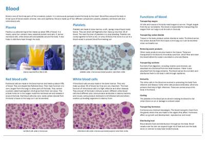 Log in to Maestro or Quick Teach | Cornerstones Education