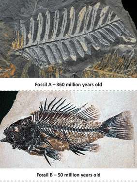 Log in to Maestro or Quick Teach | Cornerstones Education