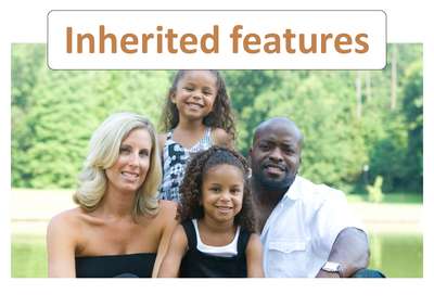 Log in to Maestro or Quick Teach | Cornerstones Education