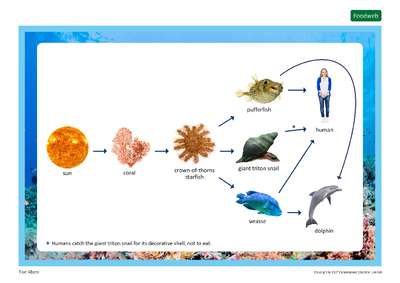 Log in to Maestro or Quick Teach | Cornerstones Education