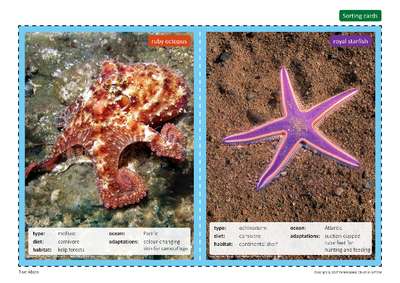 Log in to Maestro or Quick Teach | Cornerstones Education