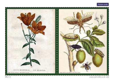 Log in to Maestro or Quick Teach | Cornerstones Education