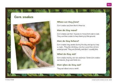 Log in to Maestro or Quick Teach | Cornerstones Education