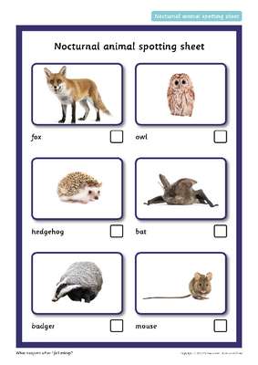 Log in to Maestro or Quick Teach | Cornerstones Education