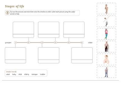 Log in to Maestro or Quick Teach | Cornerstones Education
