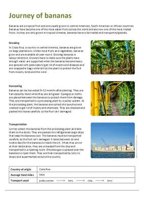 Log in to Maestro or Quick Teach | Cornerstones Education