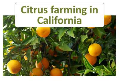 Log in to Maestro or Quick Teach | Cornerstones Education