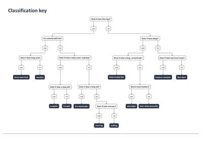 Log in to Maestro or Quick Teach | Cornerstones Education