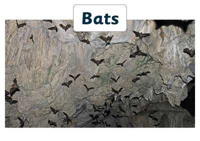 Log in to Maestro or Quick Teach | Cornerstones Education