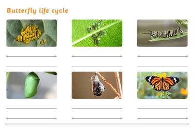 Log in to Maestro or Quick Teach | Cornerstones Education