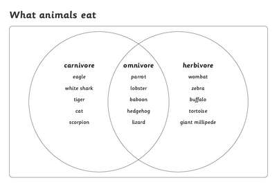 Log in to Maestro or Quick Teach | Cornerstones Education