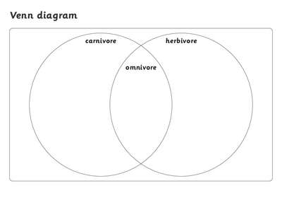 Log in to Maestro or Quick Teach | Cornerstones Education