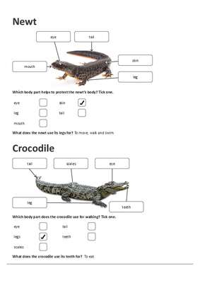 Log in to Maestro or Quick Teach | Cornerstones Education