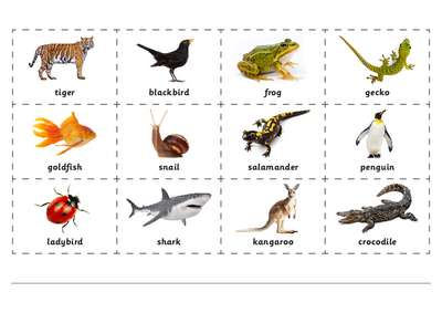 Log in to Maestro or Quick Teach | Cornerstones Education