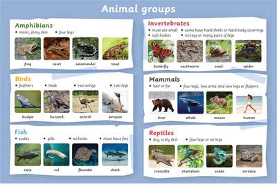 Log in to Maestro or Quick Teach | Cornerstones Education