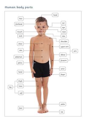 Log in to Maestro or Quick Teach | Cornerstones Education