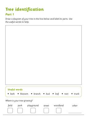 Log in to Maestro or Quick Teach | Cornerstones Education