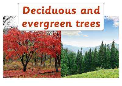 Log in to Maestro or Quick Teach | Cornerstones Education