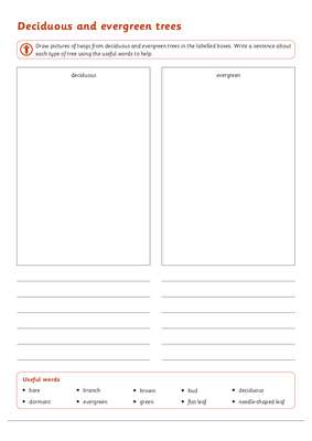 Log in to Maestro or Quick Teach | Cornerstones Education