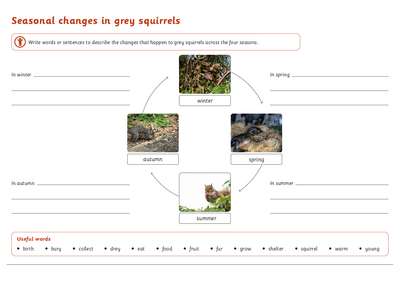 Log in to Maestro or Quick Teach | Cornerstones Education