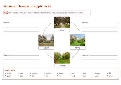 Log in to Maestro or Quick Teach | Cornerstones Education