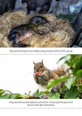 Log in to Maestro or Quick Teach | Cornerstones Education