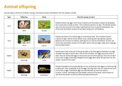 Log in to Maestro or Quick Teach | Cornerstones Education