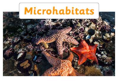 Log in to Maestro or Quick Teach | Cornerstones Education