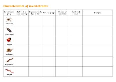 Log in to Maestro or Quick Teach | Cornerstones Education