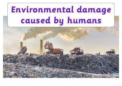 Log in to Maestro or Quick Teach | Cornerstones Education