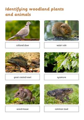 Log in to Maestro or Quick Teach | Cornerstones Education