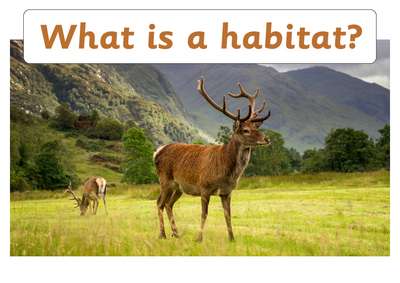 Log in to Maestro or Quick Teach | Cornerstones Education