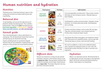 Log in to Maestro or Quick Teach | Cornerstones Education