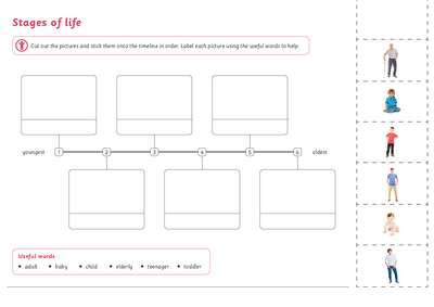 Log in to Maestro or Quick Teach | Cornerstones Education