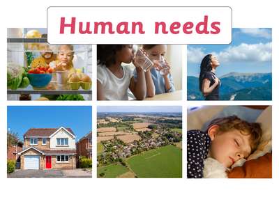 Log in to Maestro or Quick Teach | Cornerstones Education