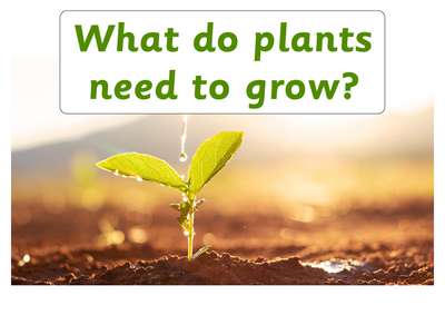 Log in to Maestro or Quick Teach | Cornerstones Education