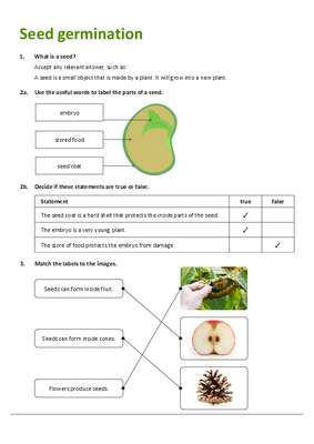 Log in to Maestro or Quick Teach | Cornerstones Education