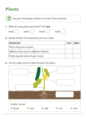 Log in to Maestro or Quick Teach | Cornerstones Education