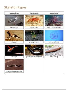 Log in to Maestro or Quick Teach | Cornerstones Education