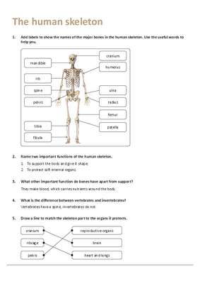 Log in to Maestro or Quick Teach | Cornerstones Education