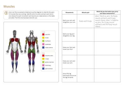 Log in to Maestro or Quick Teach | Cornerstones Education